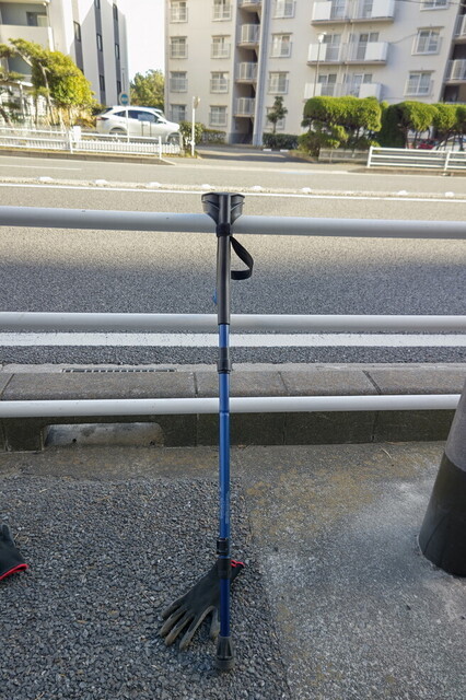 【歩行リハ】杖＋GSD ウッドデッキ GSDで初の海岸: グリーゼ581h