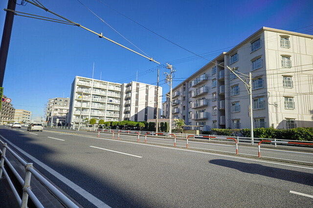 【歩行リハ】杖＋GSD ウッドデッキ GSDで初の海岸: グリーゼ581h