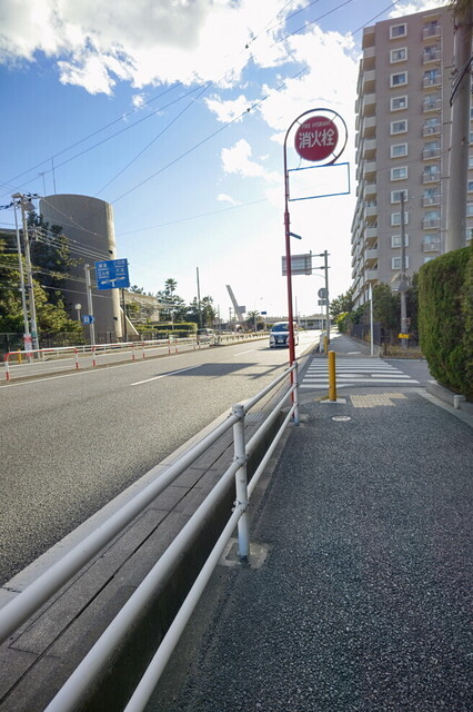 【歩行リハ】杖＋GSD ウッドデッキ GSDで初の海岸: グリーゼ581h