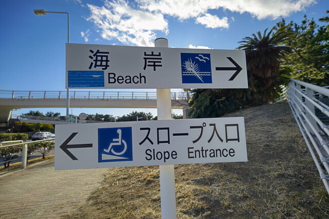 【歩行リハ】杖＋GSD ウッドデッキ GSDで初の海岸: グリーゼ581h