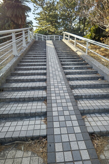 【歩行リハ】杖＋GSD ウッドデッキ GSDで初の海岸: グリーゼ581h