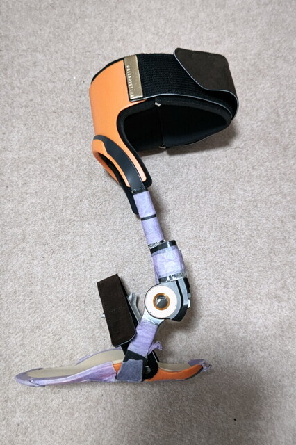 【歩行リハ】杖＋GSD 1回目 残る大きな問題はアロディニア: グリーゼ581h