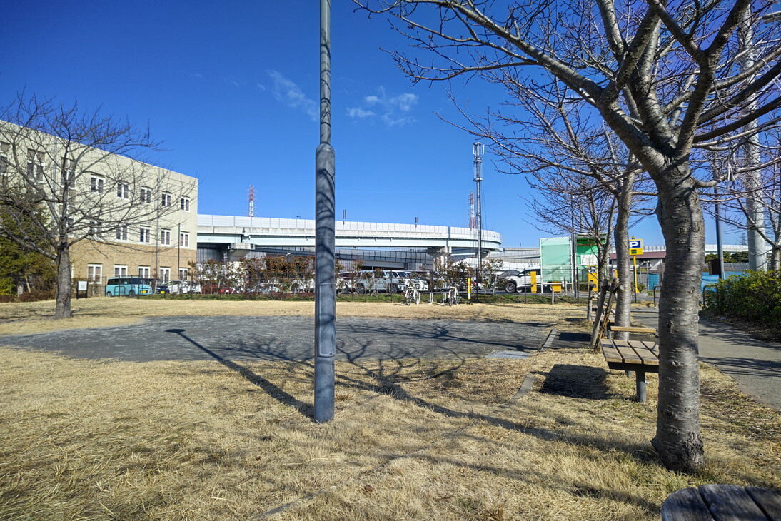 腎臓がん術後8年 泌尿器科 CT, 採血, 採尿検査編: グリーゼ581h