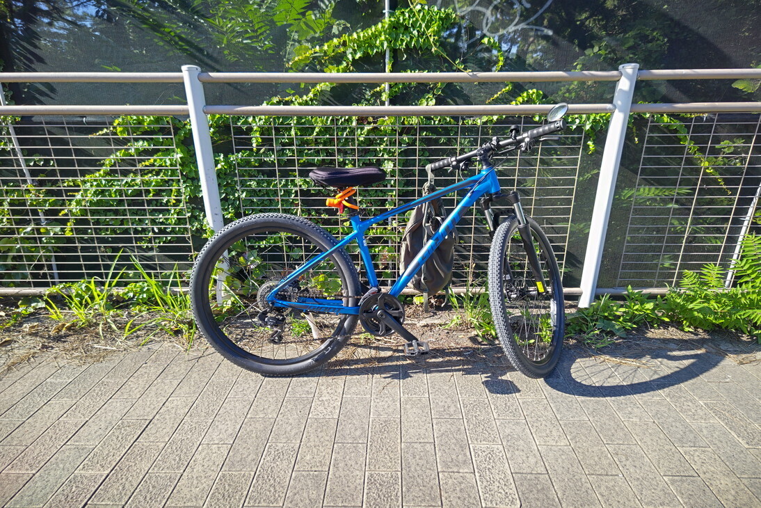 脚延長手術フェーズ2 最終回 海岸リハビリ⑥ ヘッドランドビーチ: グリーゼ581h