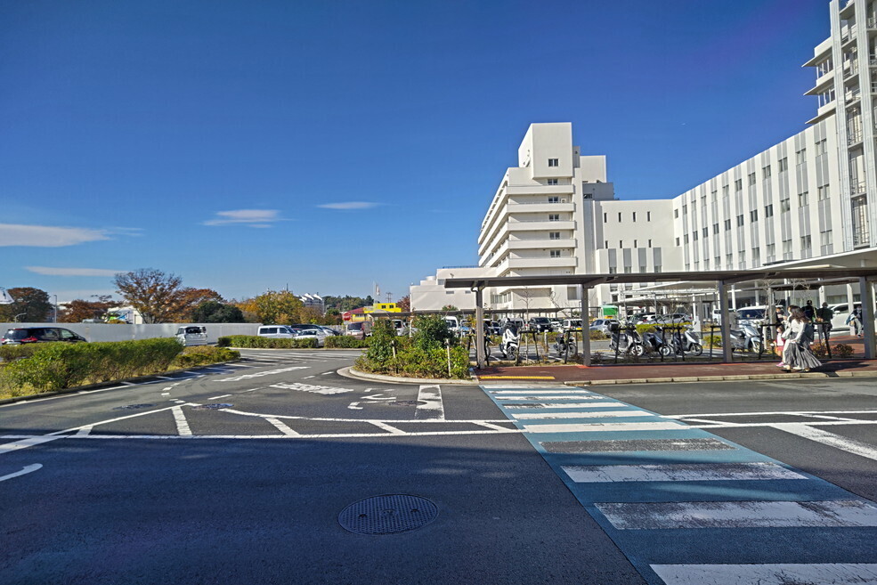 麻酔科 CRPS 脊髄刺激装置 電極代替後の評価: グリーゼ581h