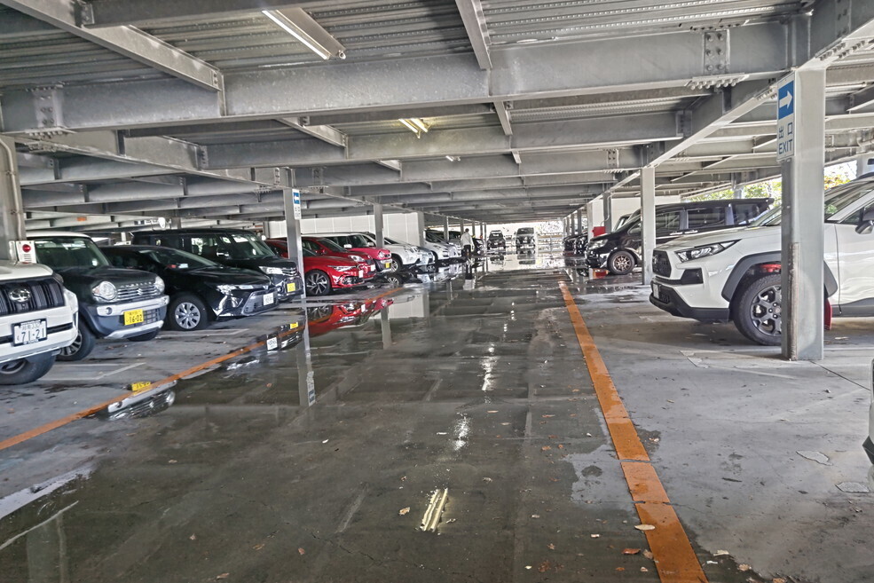 麻酔科 CRPS 脊髄刺激装置 電極代替後の評価: グリーゼ581h