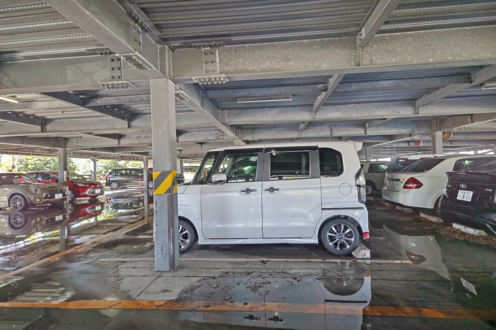 麻酔科 CRPS 脊髄刺激装置 電極代替後の評価: グリーゼ581h