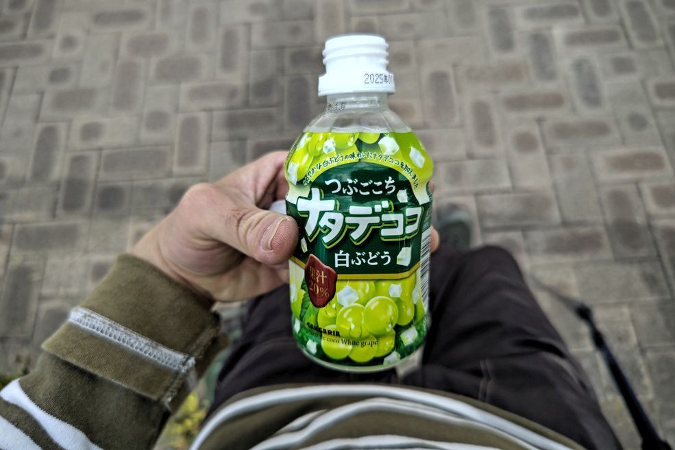 【事故後初】杖歩行 最寄り駅間の往復にチャレンジ 自宅へ: グリーゼ581h